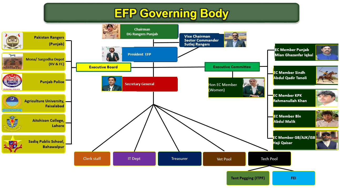 Executive Body – EFP